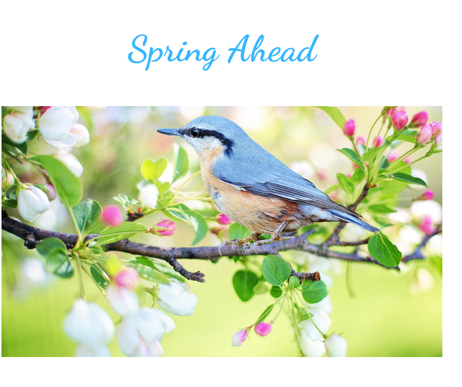 Ready to Spring Ahead? | Cindy Jobs - ADHD Coach for Adults